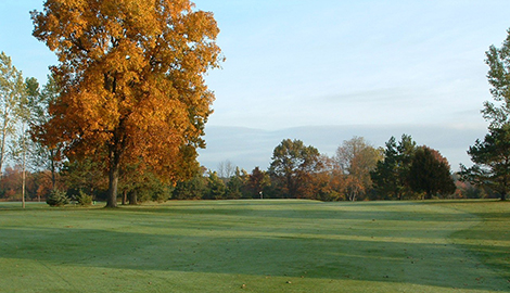 Course Information - Yankee Springs Golf Course